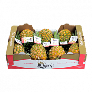 Fresh Pineapple – Visafruit | Import Tropical Fruits
